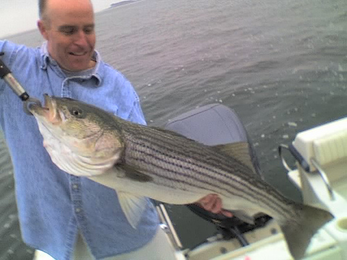 2 oz Saltwater Needlefish style wooden lures and plugs for large ...